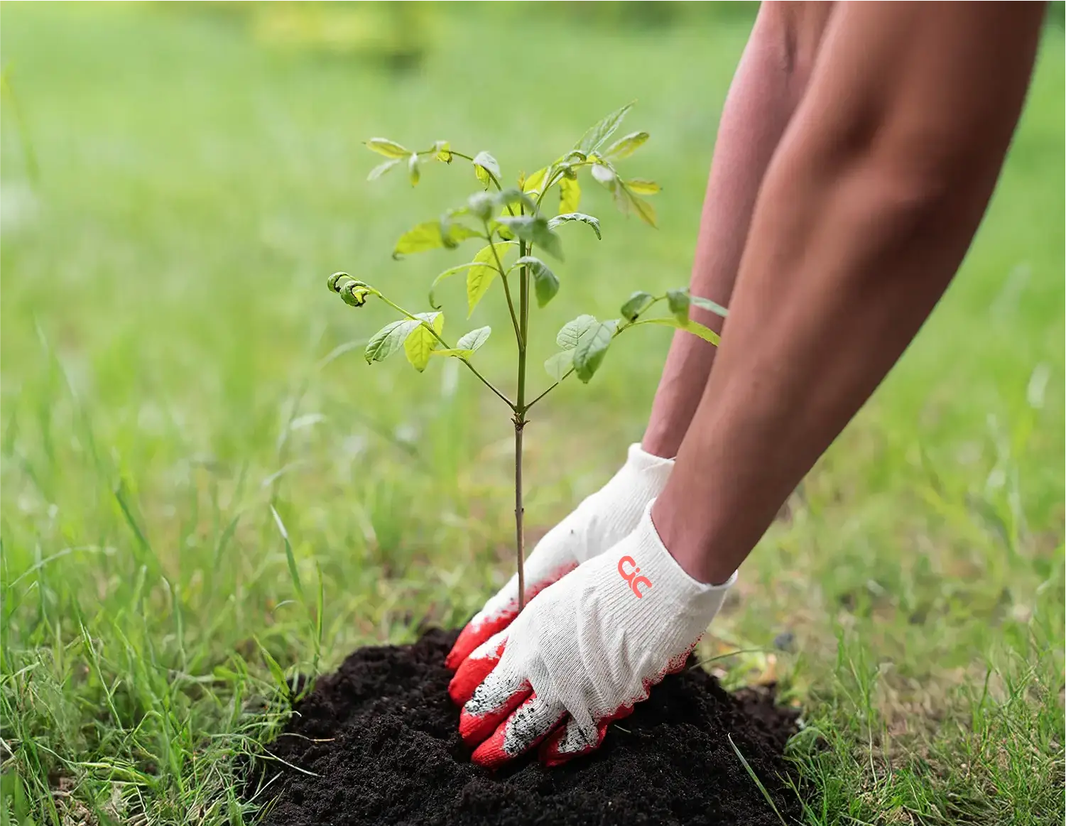 Sustainability Commitment | Corporate Imaging Concepts (CIC)